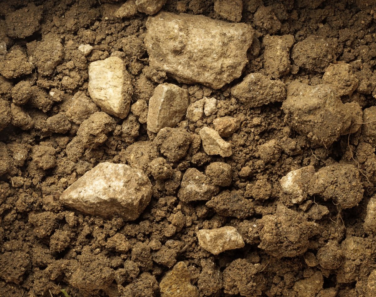 Marl Soils: characteristics, properties and cultivations in Valpolicella